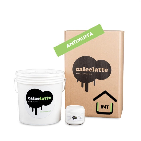 Come Togliere la Muffa dai Muri? - La Banca della Calce